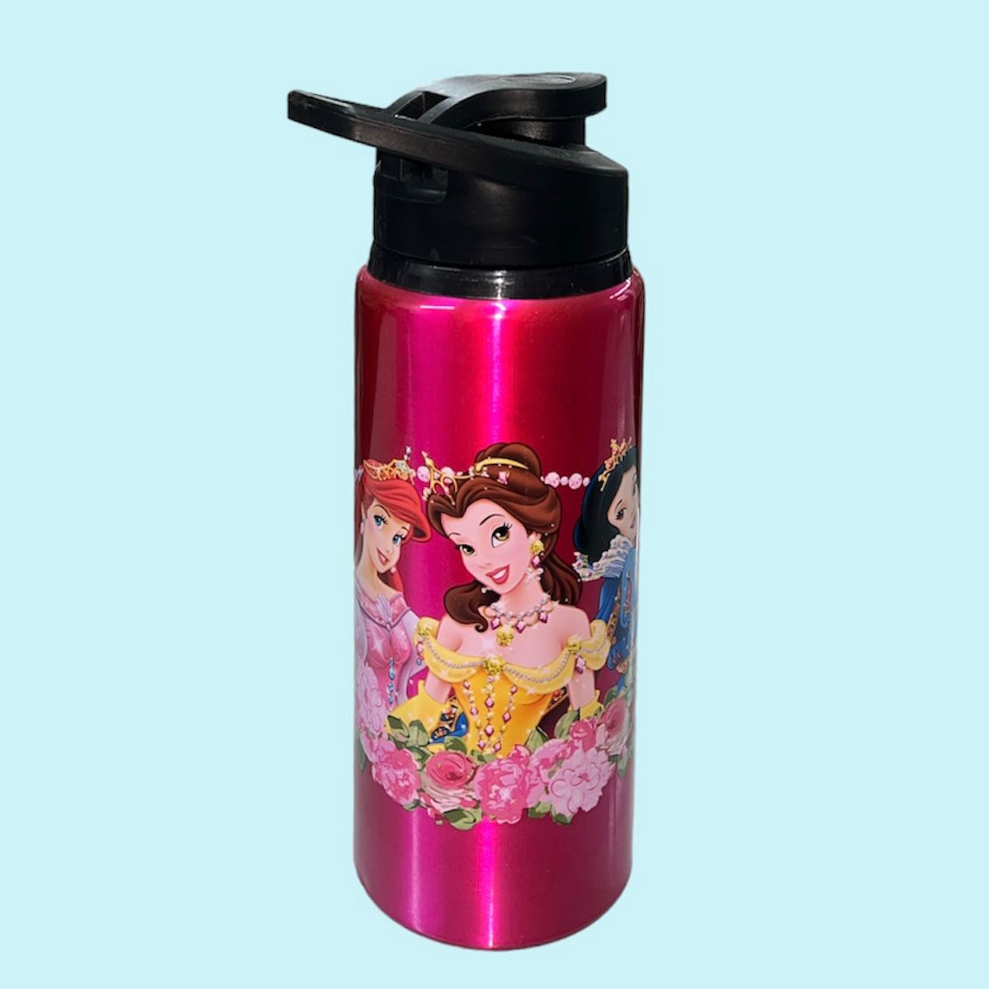 Princess 500ml Stainless Still Water Bottle - Naregatsi Bookstore